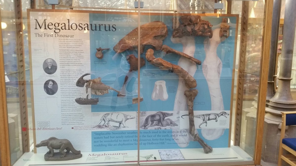 Robert Plot’s Lost Dinosaur Bone — Tetrapod Zoology