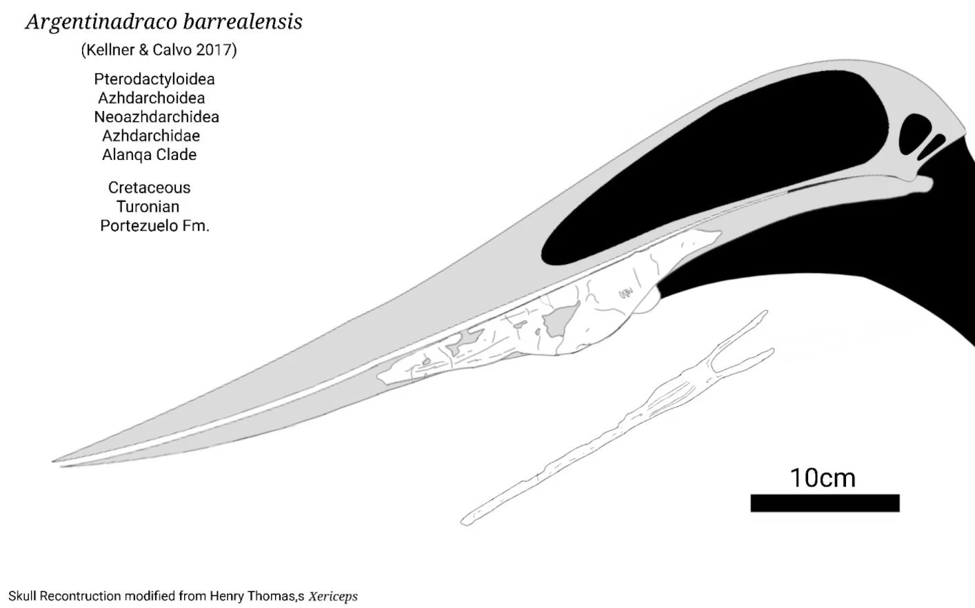 The Quetz Monograph Lives and Other News on Azhdarchid Pterosaurs ...