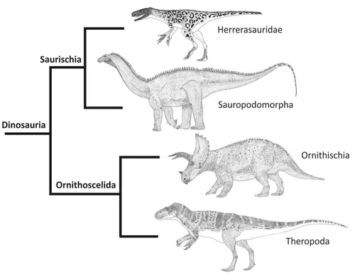 The Third Edition of Naish and Barrett's Dinosaurs: How They Lived and ...