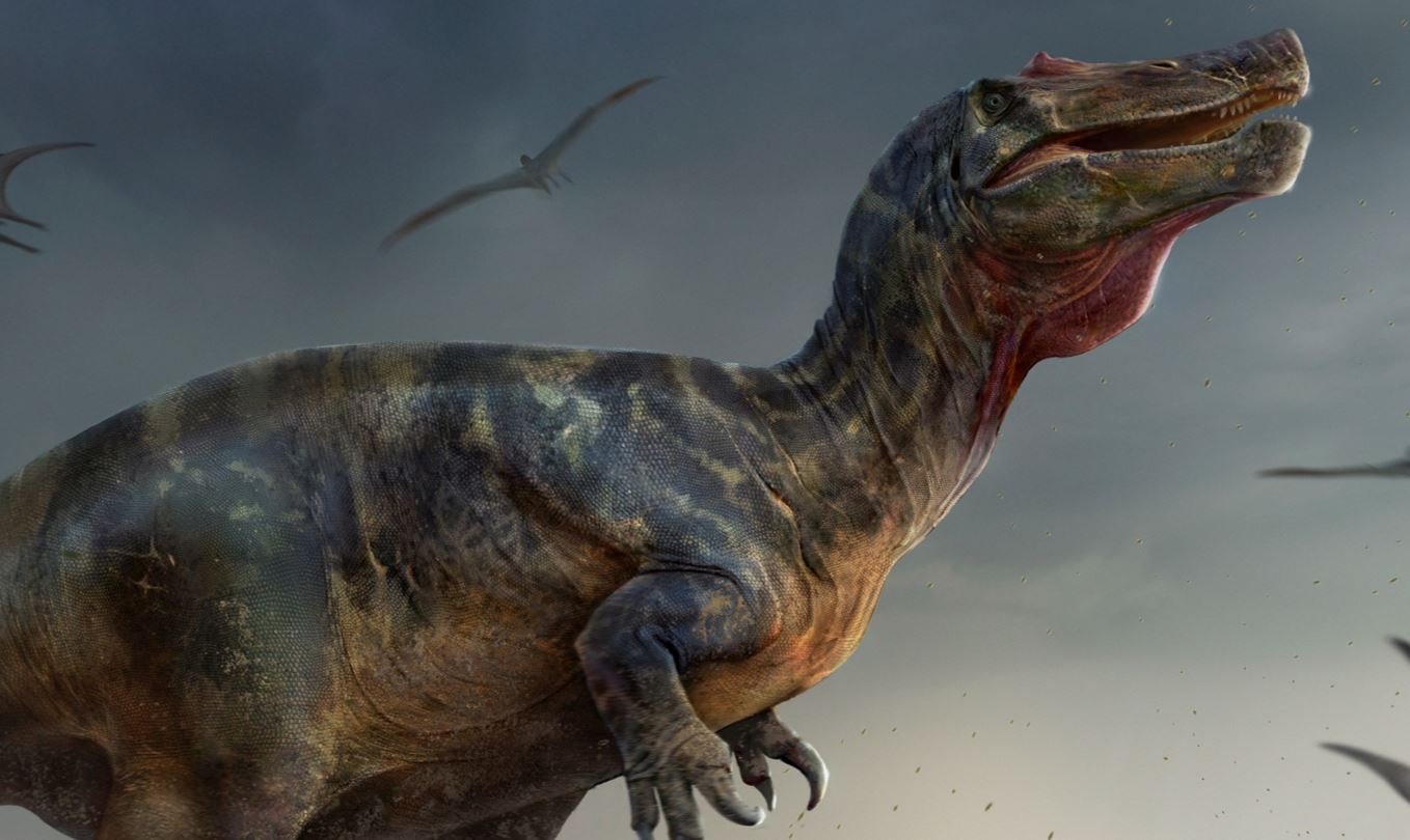 A Giant Spinosaurid Dinosaur from the Cretaceous of the Isle of Wight ...