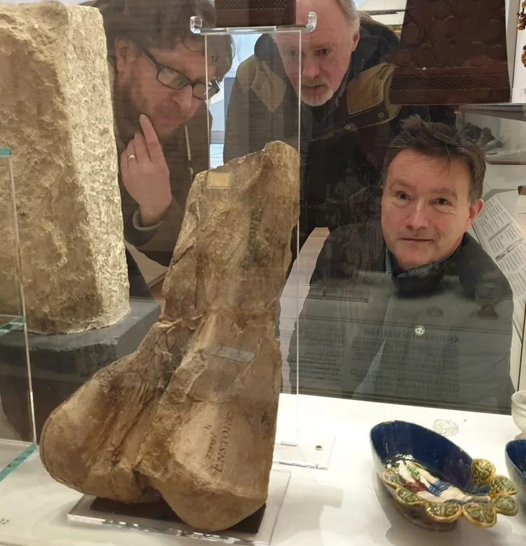 Robert Plot’s Lost Dinosaur Bone — Tetrapod Zoology
