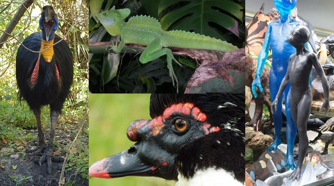 Tetrapod Zoology Reaches 18 Years of Age — Tetrapod Zoology