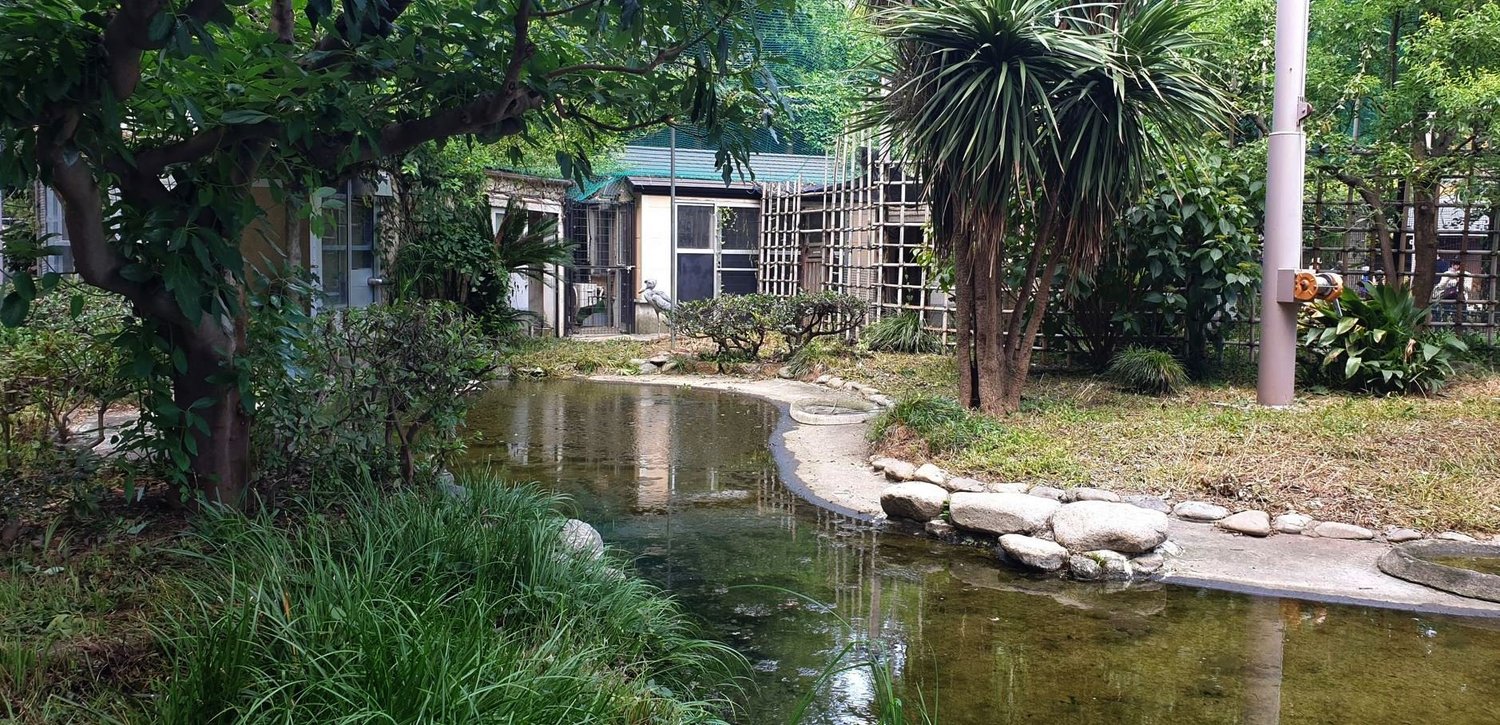 Tet Zoo Reviews Zoos: Tokyo’s Ueno Zoo — Tetrapod Zoology