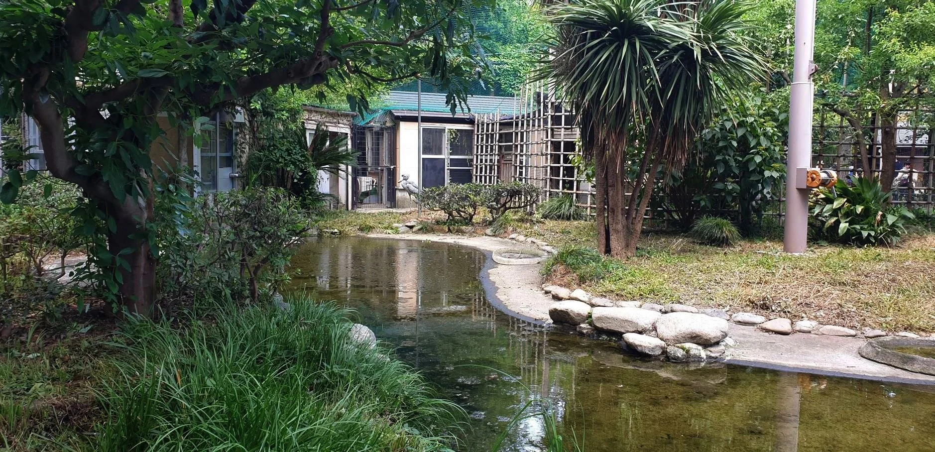 Tet Zoo Reviews Zoos: Tokyo’s Ueno Zoo — Tetrapod Zoology