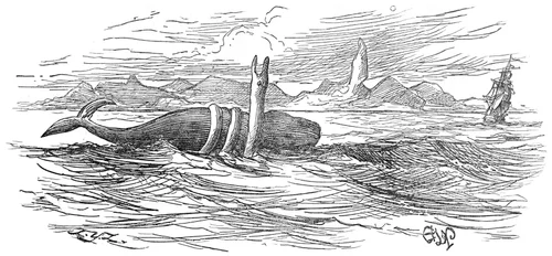 In Memory of Richard Ellis, Influential Artist and Author — Tetrapod ...