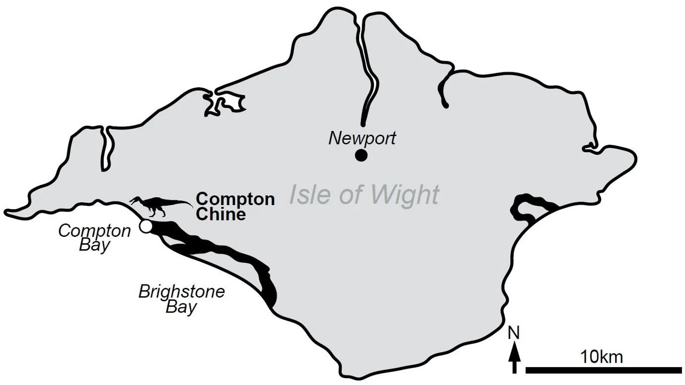 A Giant Spinosaurid Dinosaur from the Cretaceous of the Isle of Wight ...