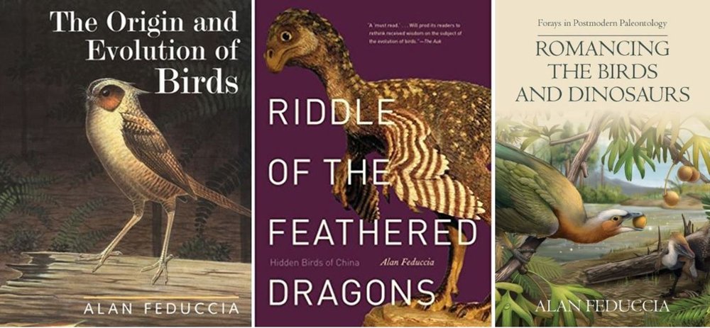 Alan Feduccia’s Romancing the Birds and Dinosaurs: Forays in Postmodern ...