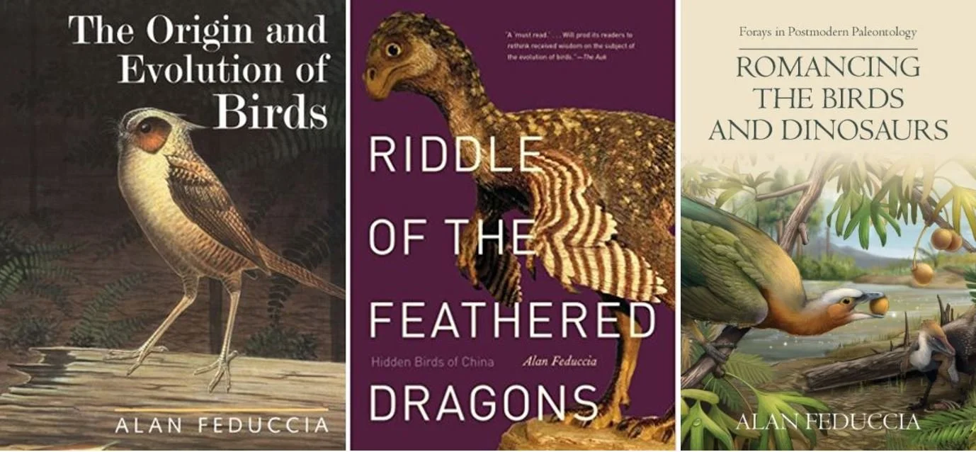 Alan Feduccia’s Romancing the Birds and Dinosaurs: Forays in Postmodern ...