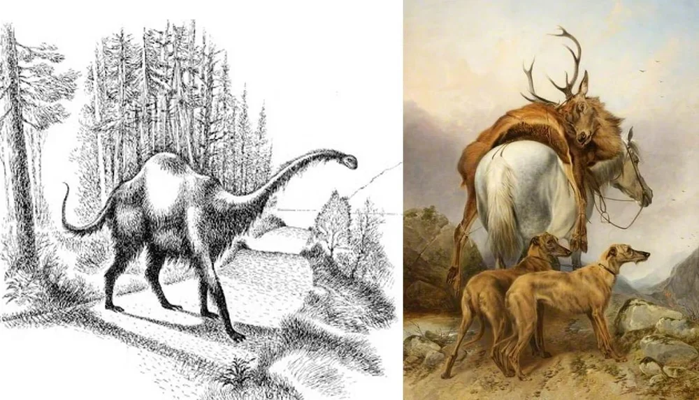 Nessie Point and Counterpoint; Who Owns the ‘Facts’ on the Loch Ness Monster? — Tetrapod Zoology