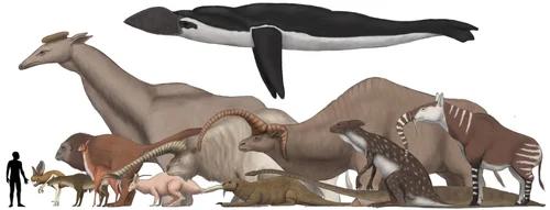 Speculative Zoology and the World of After Man; an Interview With ...