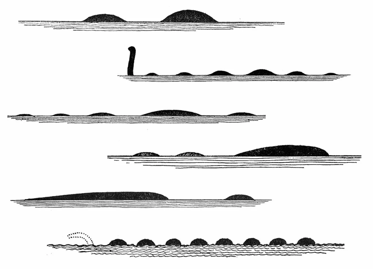 Adrian Shine's A Natural History of Sea Serpents — Tetrapod Zoology