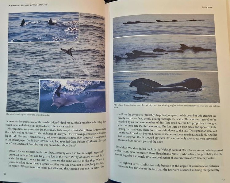 Adrian Shine's A Natural History of Sea Serpents — Tetrapod Zoology