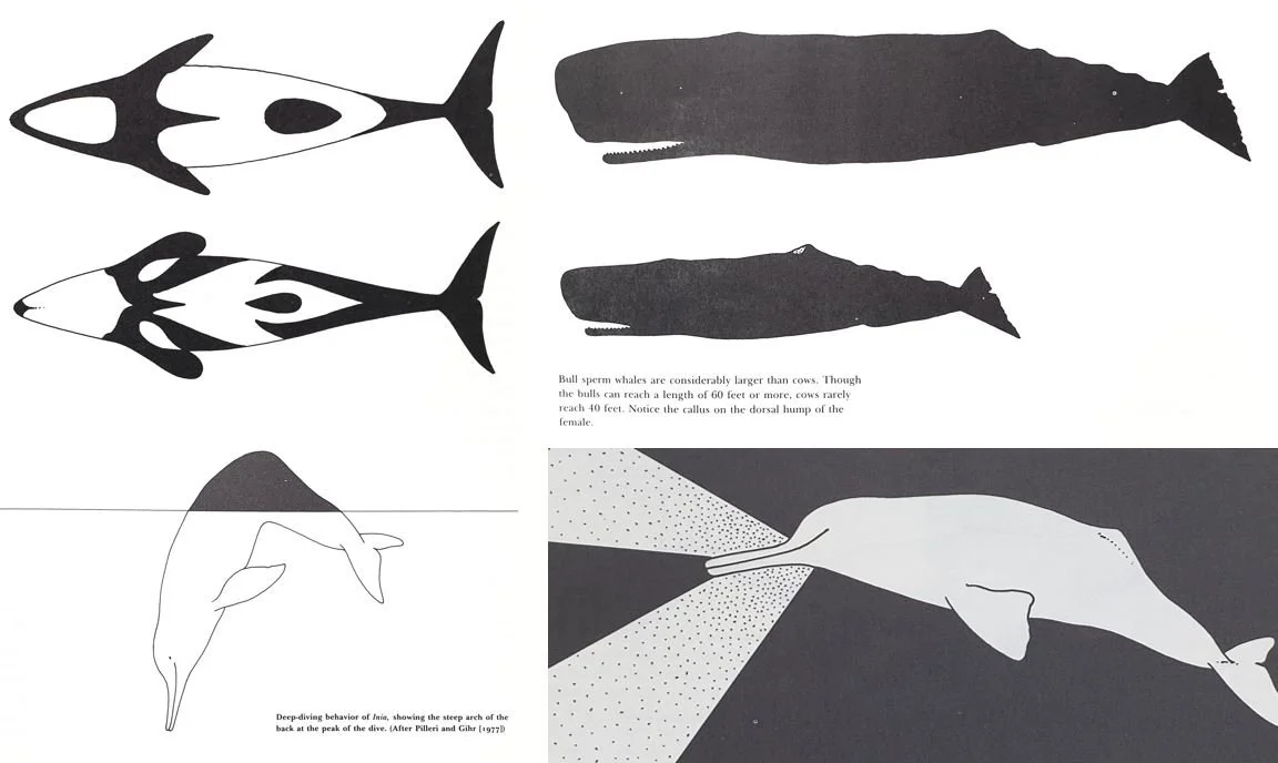 In Memory of Richard Ellis, Influential Artist and Author — Tetrapod ...