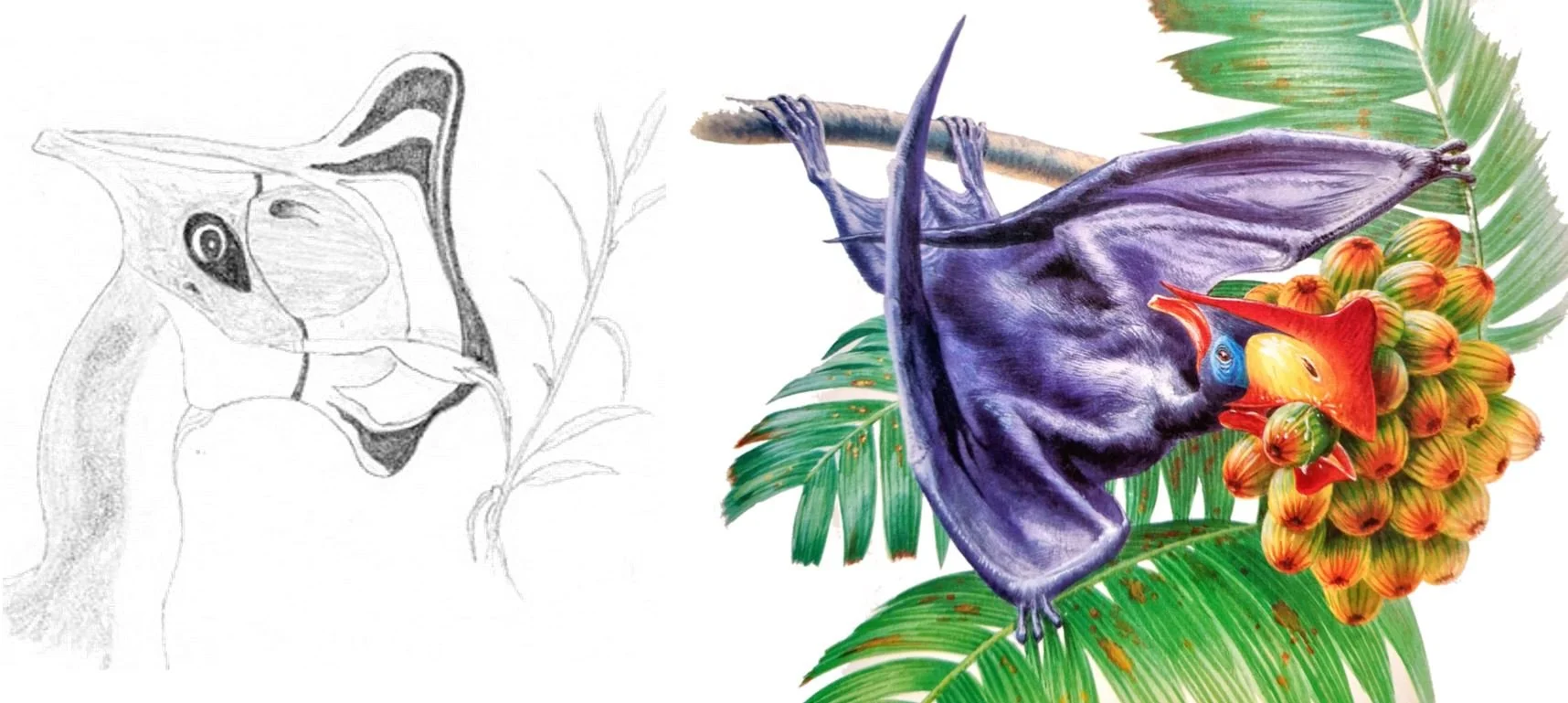 Tapejarid Palaeobiology and the Concept of the ‘Giraffized’ Azhdarchid ...