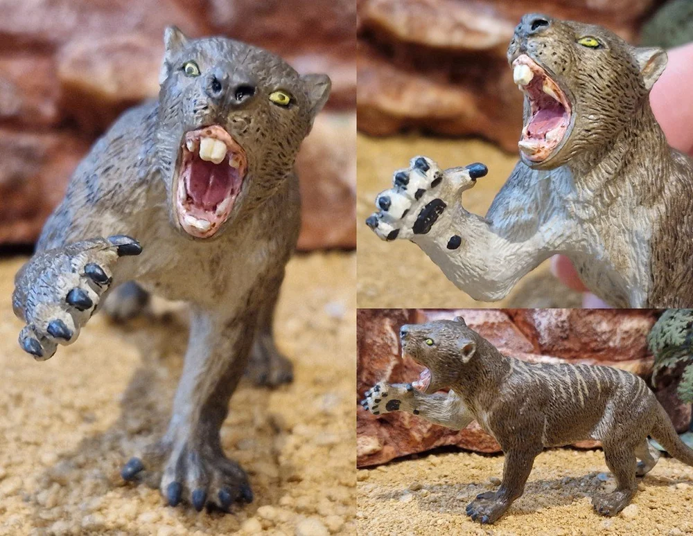 Thylacoleo, the Incredible Marsupial Lion — Tetrapod Zoology