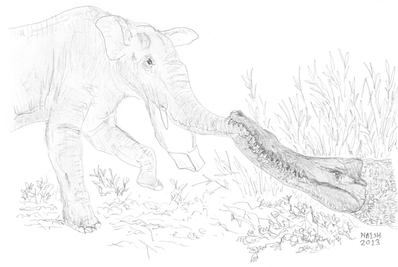 Crocodiles Attack Elephants Then, Now, and Still — Tetrapod Zoology