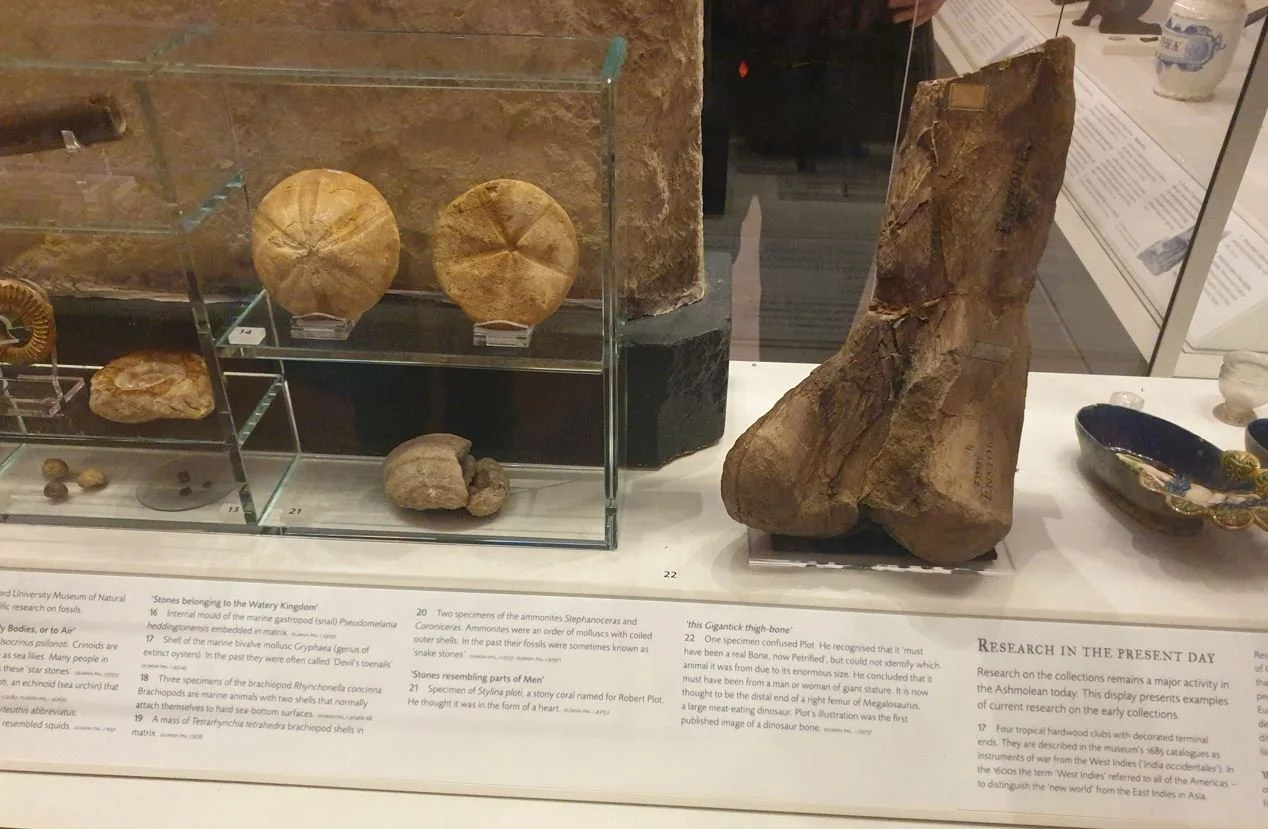 Robert Plot’s Lost Dinosaur Bone — Tetrapod Zoology
