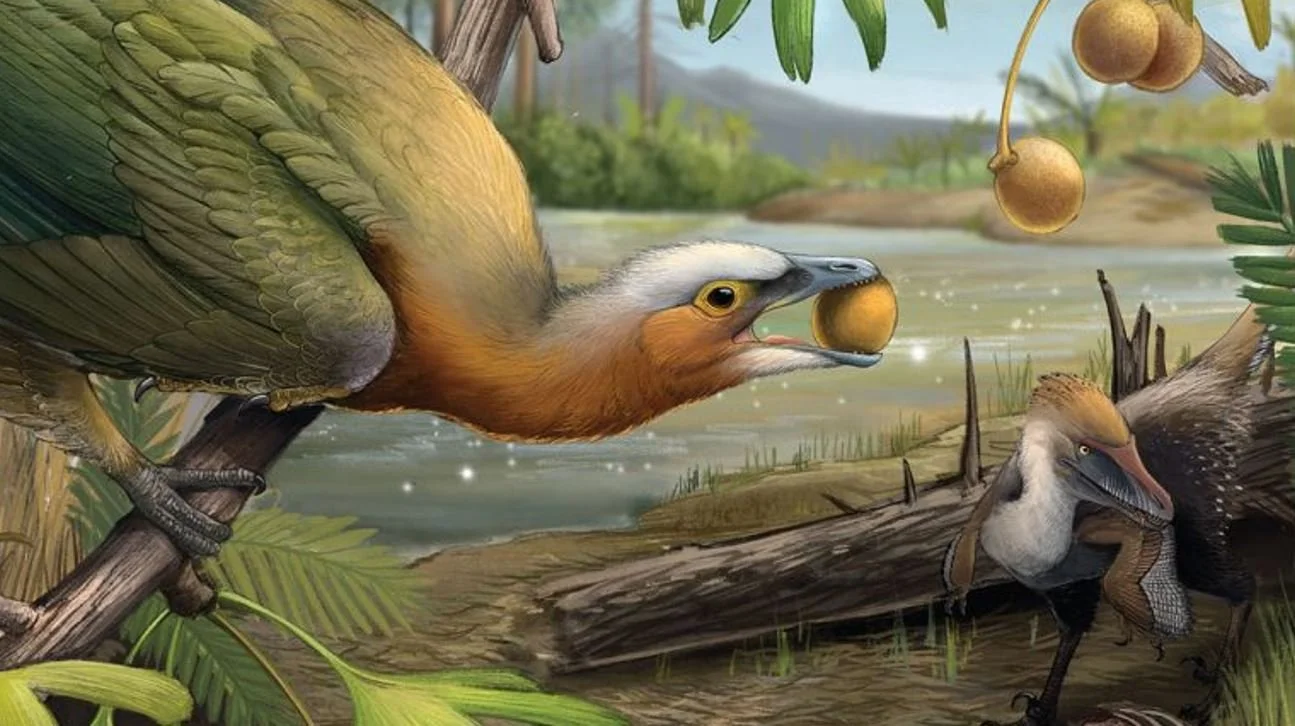 Alan Feduccia’s Romancing the Birds and Dinosaurs: Forays in Postmodern ...