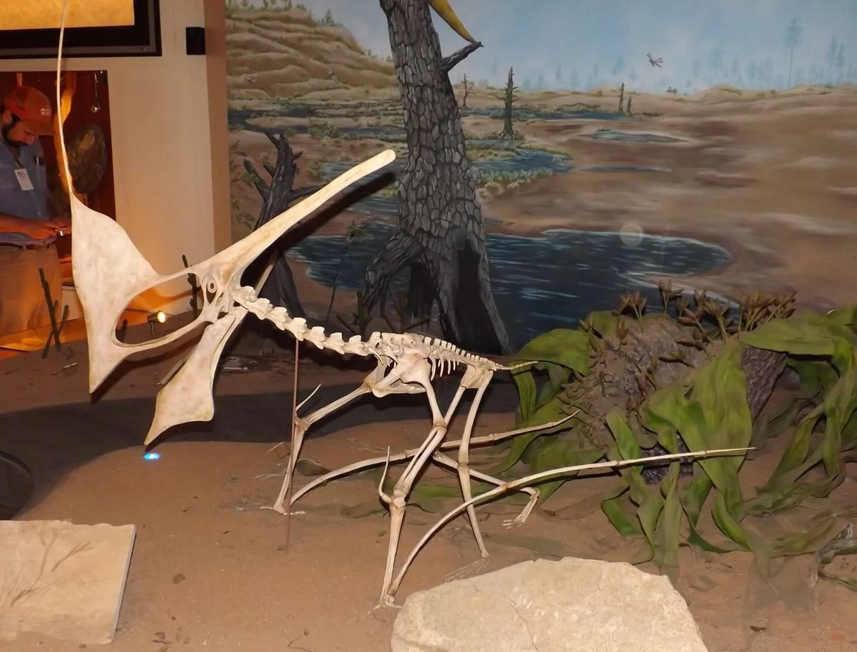 Tapejarid Palaeobiology and the Concept of the ‘Giraffized’ Azhdarchid ...