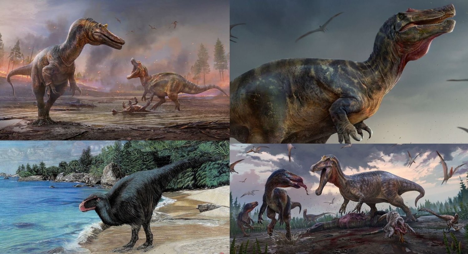 A New Theropod Dinosaur Assemblage from the Older Part of the English ...