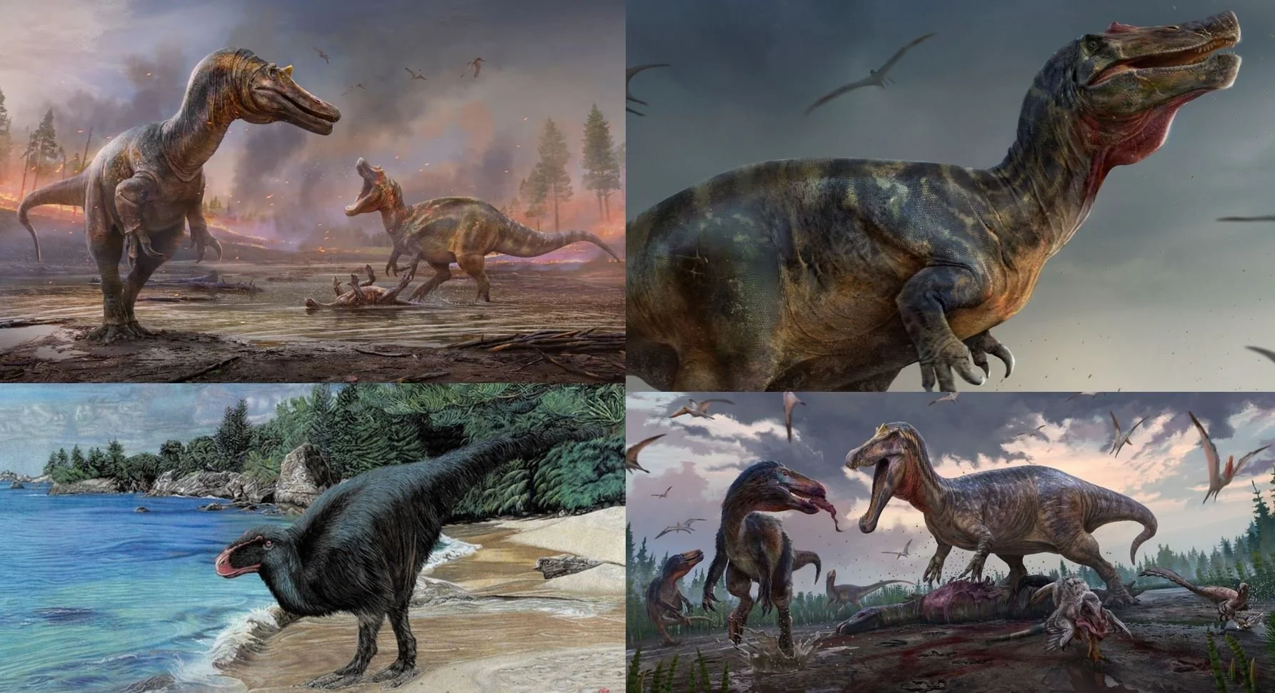 A New Theropod Dinosaur Assemblage from the Older Part of the English ...
