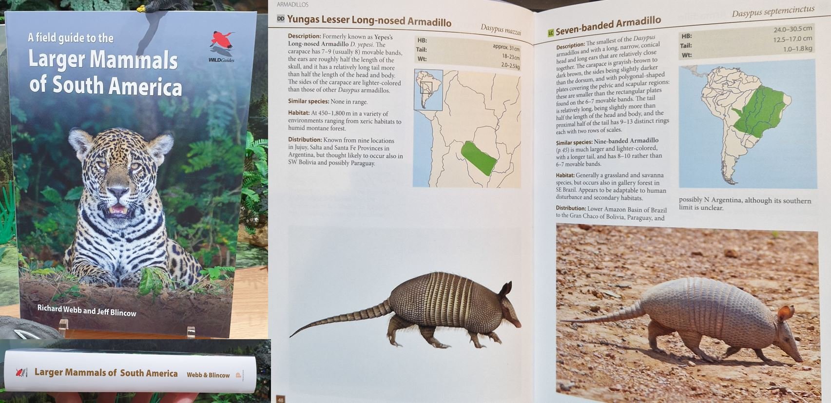 The Fate of the Woolly Long-Nosed Armadillo of Peru — Tetrapod Zoology