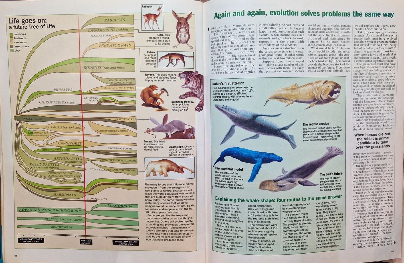 Speculative Zoology and the World of After Man; an Interview With ...