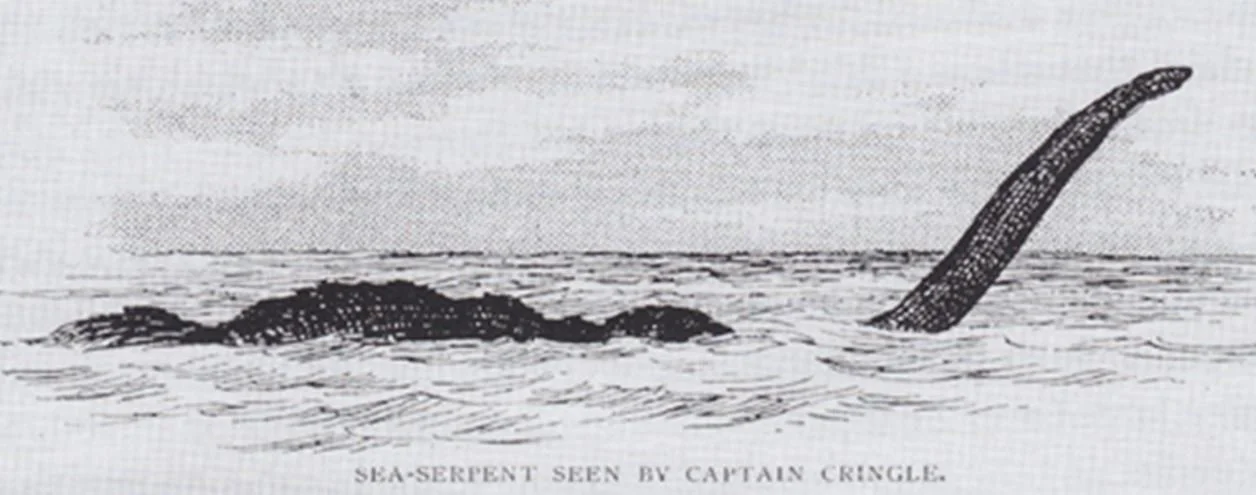Adrian Shine's A Natural History of Sea Serpents — Tetrapod Zoology