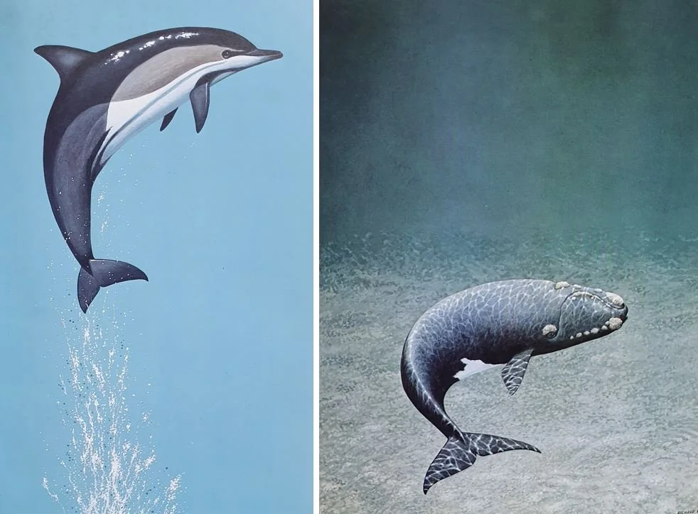 In Memory of Richard Ellis, Influential Artist and Author — Tetrapod ...
