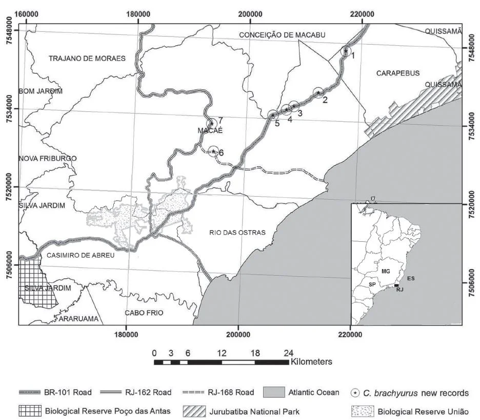 The Incredible South American Maned Wolf — Tetrapod Zoology
