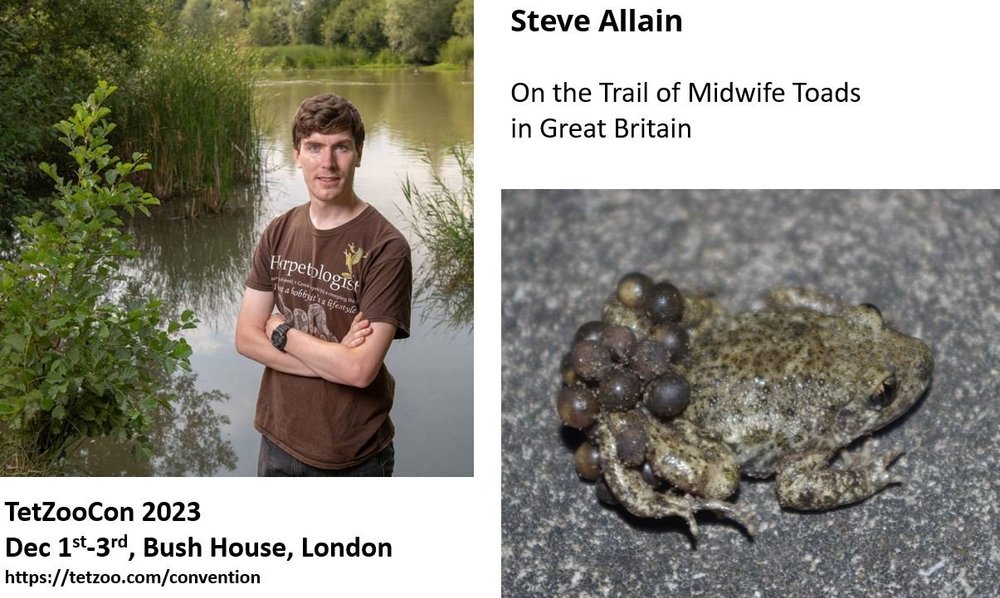 Announcing the 10th Tetrapod Zoology Convention — Tetrapod Zoology