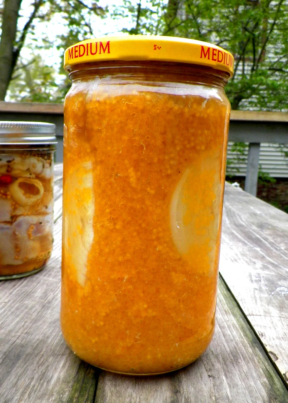 Sucker fishing - pickled fish & roe — Stumpjack Outdoors