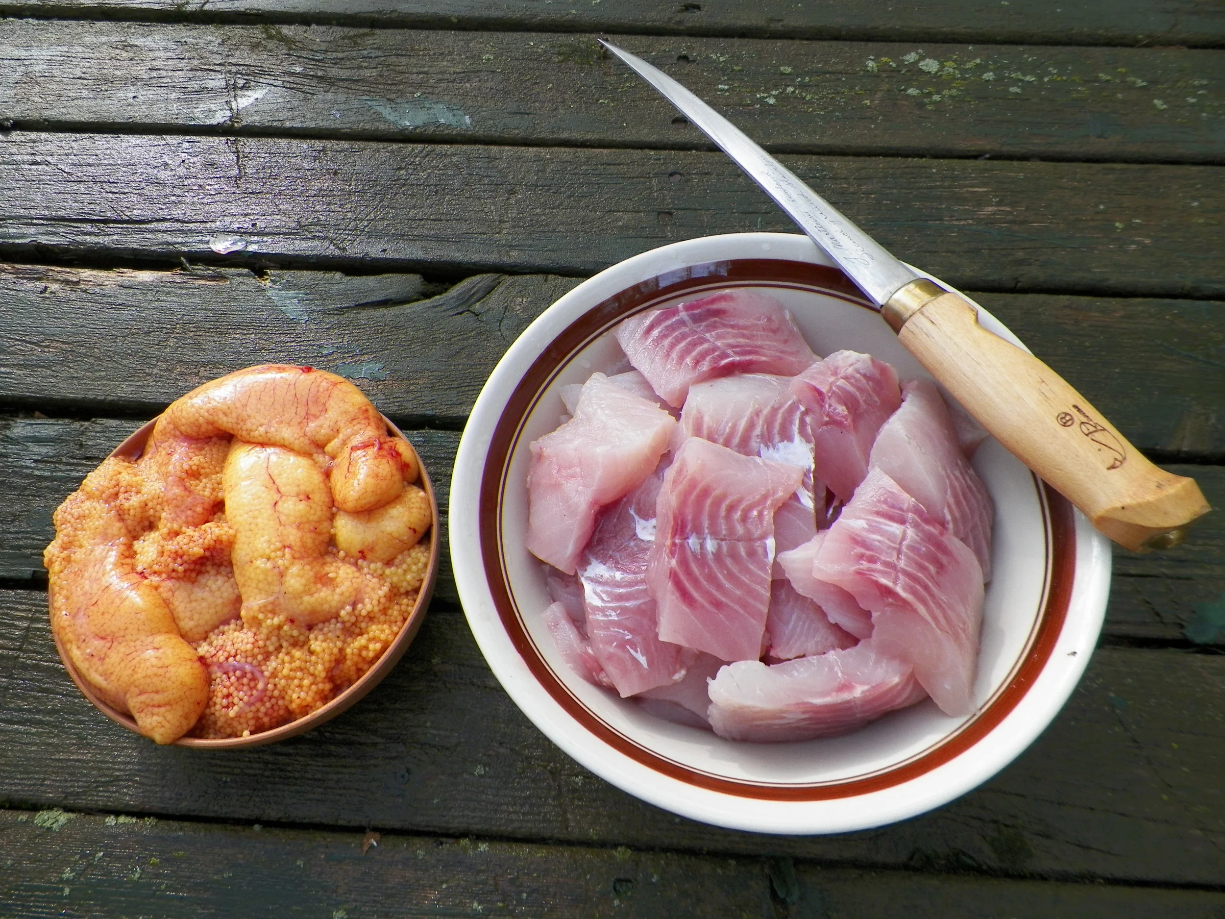 Sucker fishing - pickled fish & roe — Stumpjack Outdoors