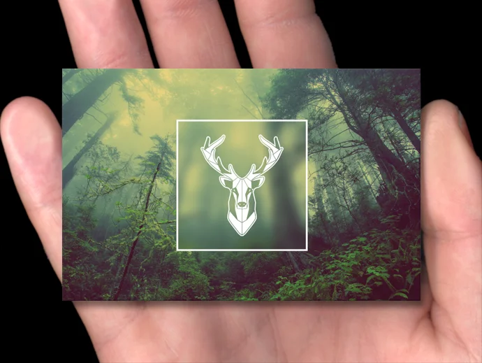 Matt Laminated, UV Spot & Foiled Business Cards — PlasmaDesign