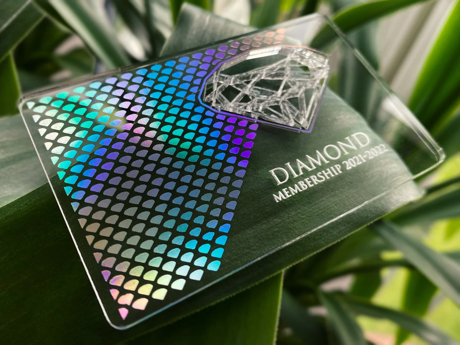 Acrylic Cards — PlasmaDesign