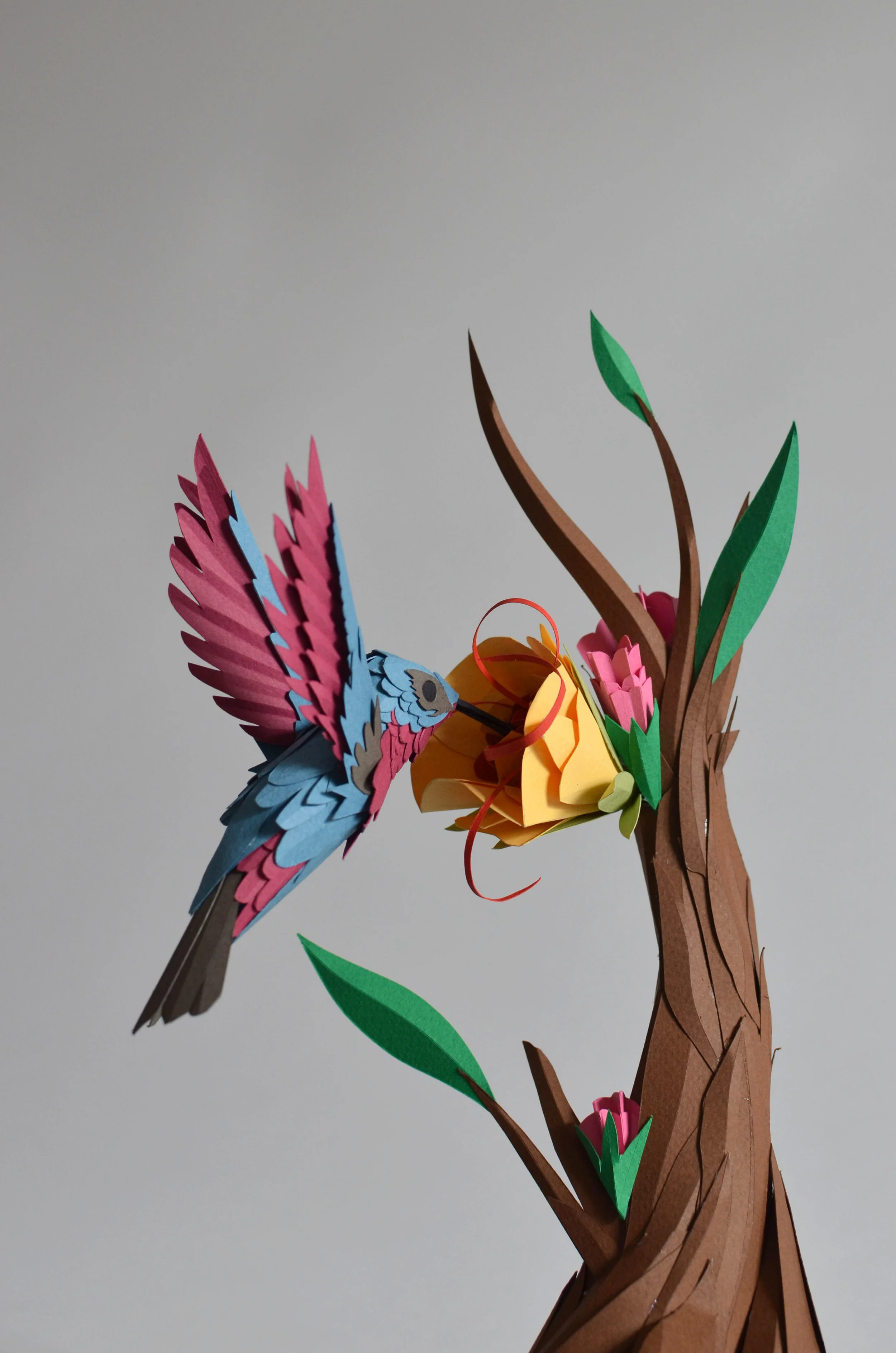 Hummingbird — Andy Singleton - Artist