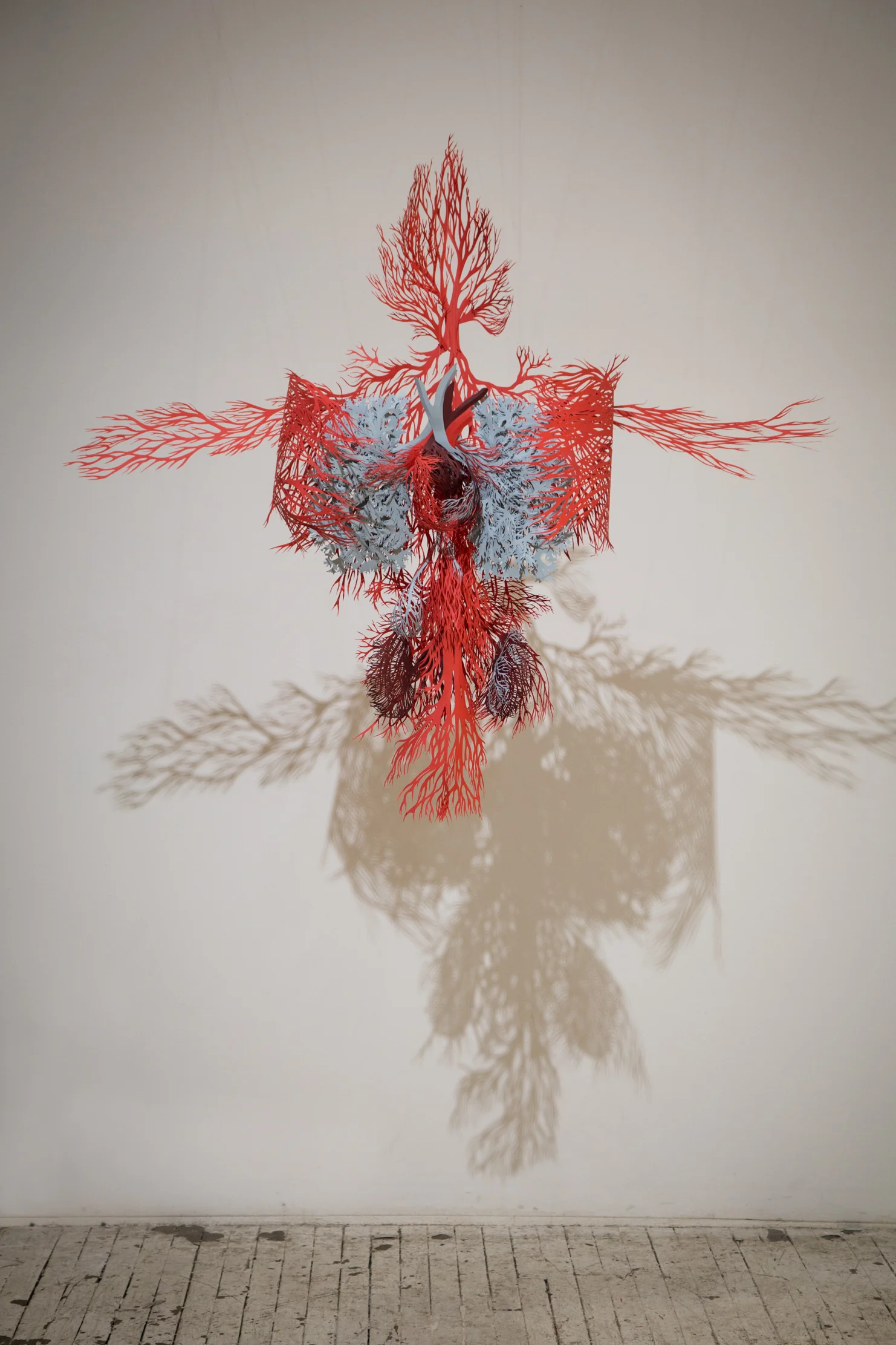 Anatomic — Andy Singleton - Artist