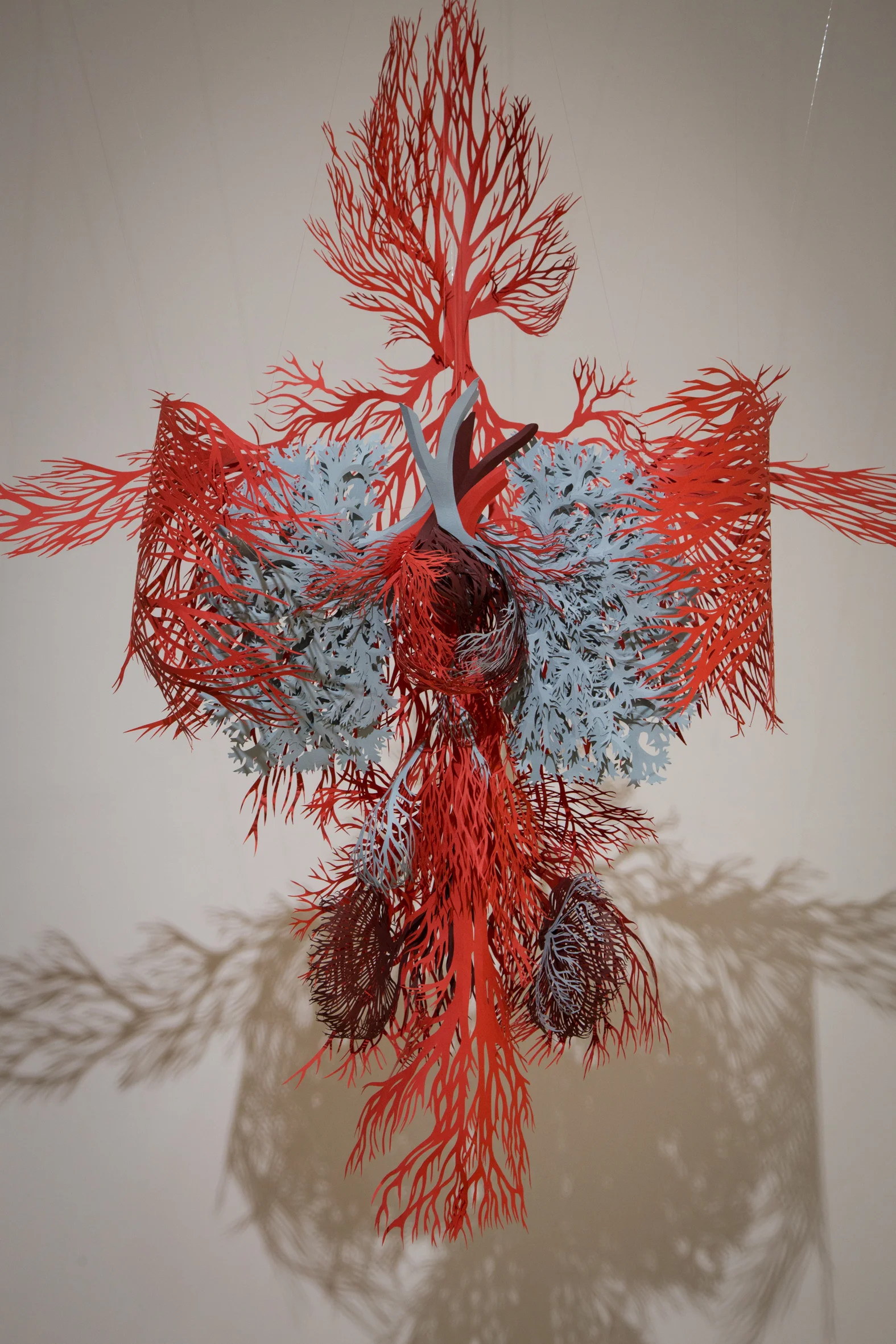 Anatomic — Andy Singleton - Artist
