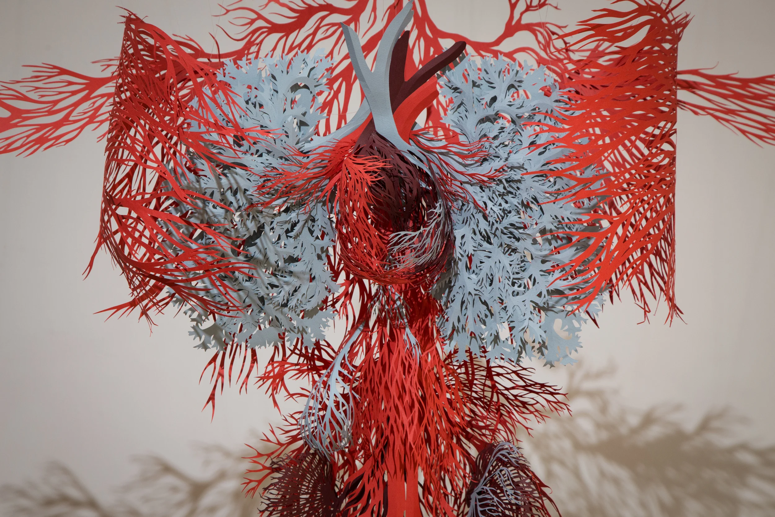 Anatomic — Andy Singleton - Artist