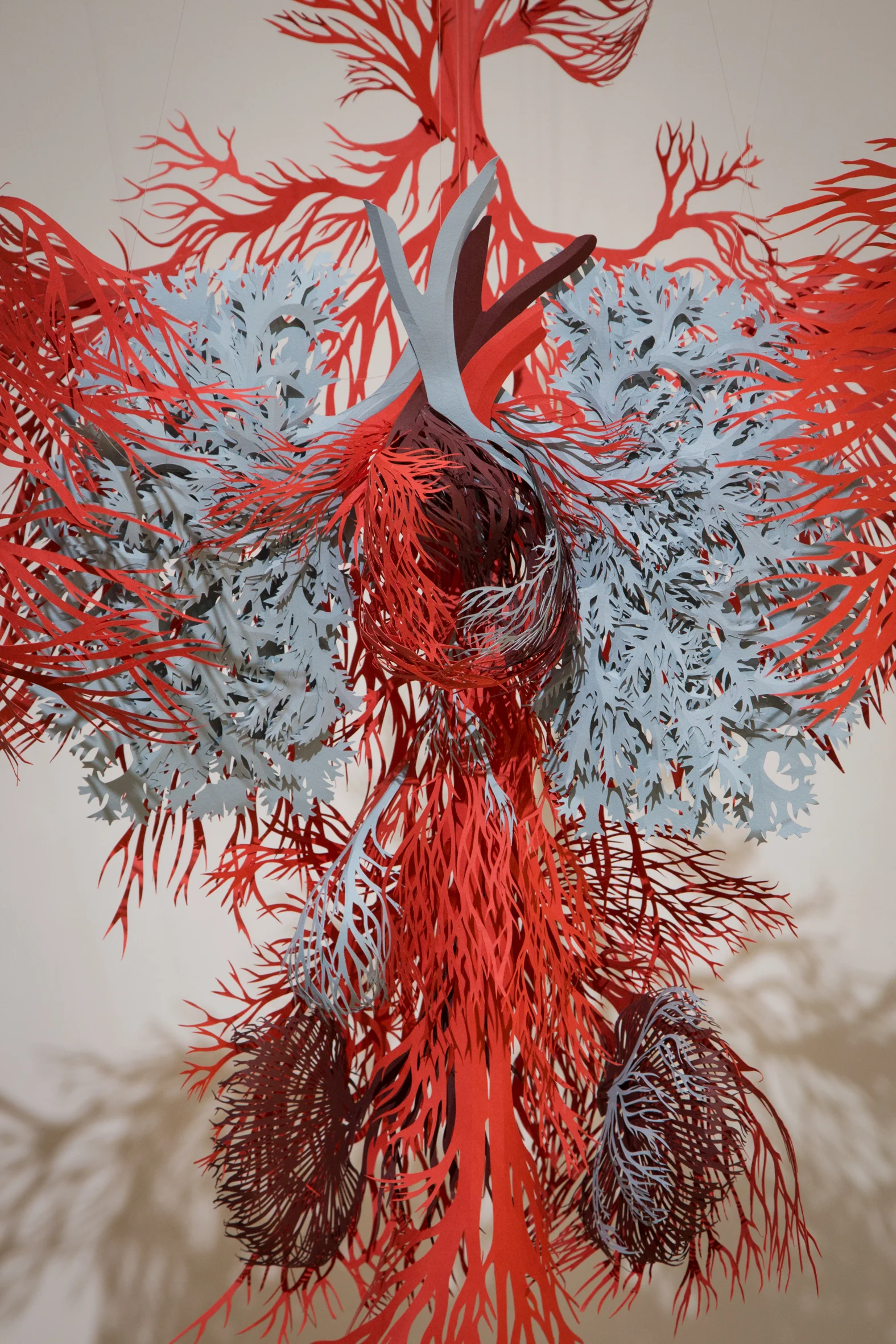 Anatomic — Andy Singleton - Artist