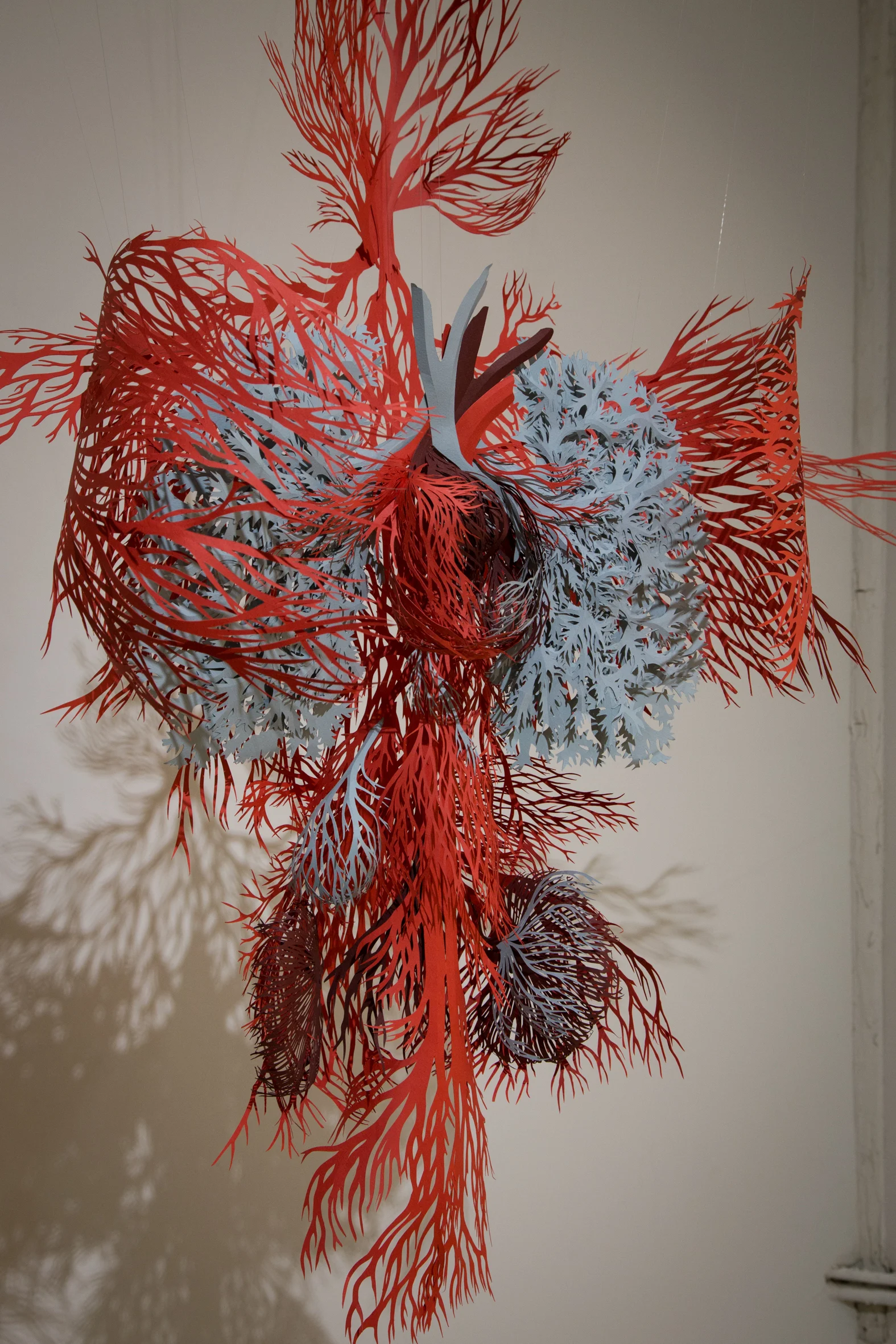 Anatomic — Andy Singleton - Artist