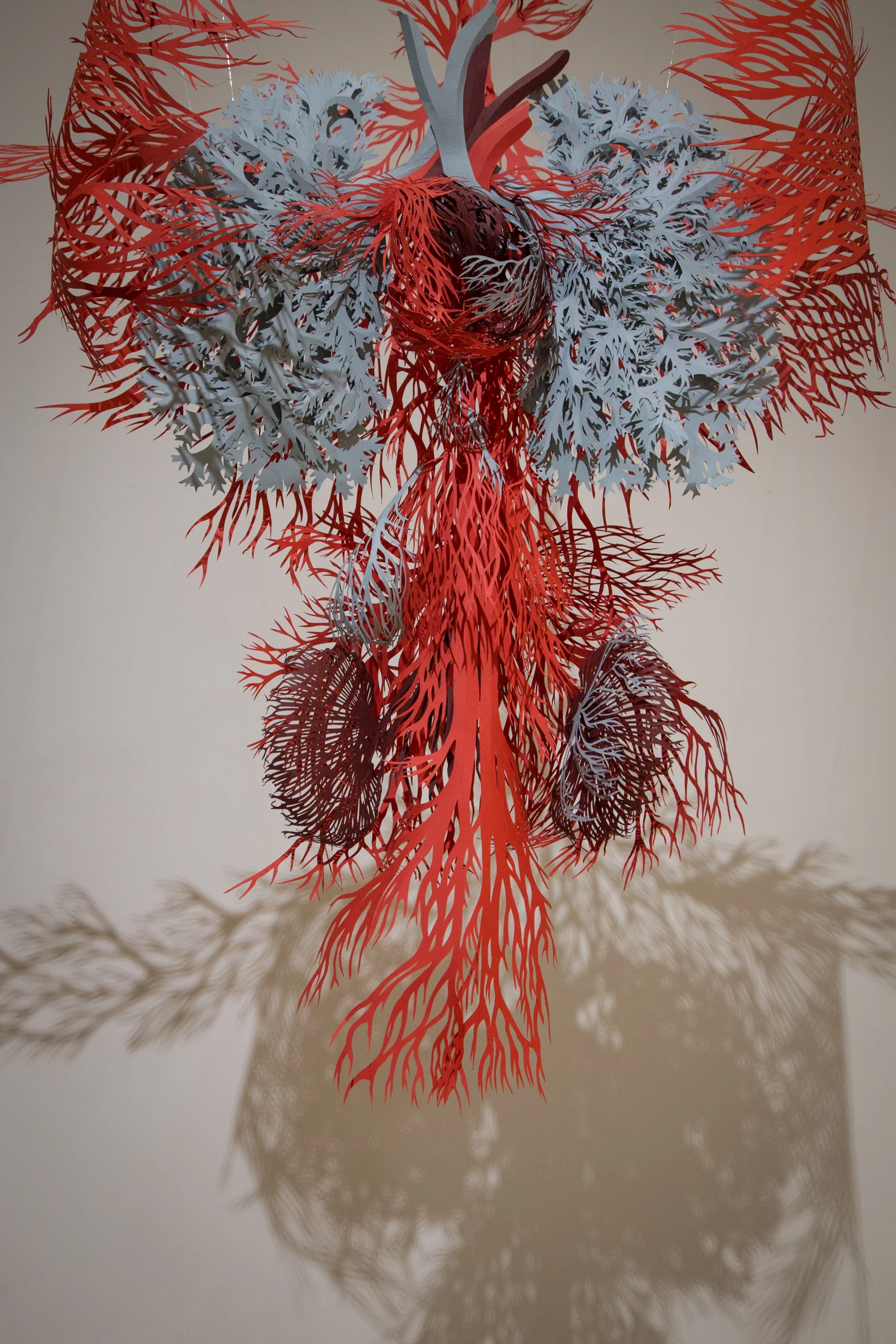 Anatomic — Andy Singleton - Artist