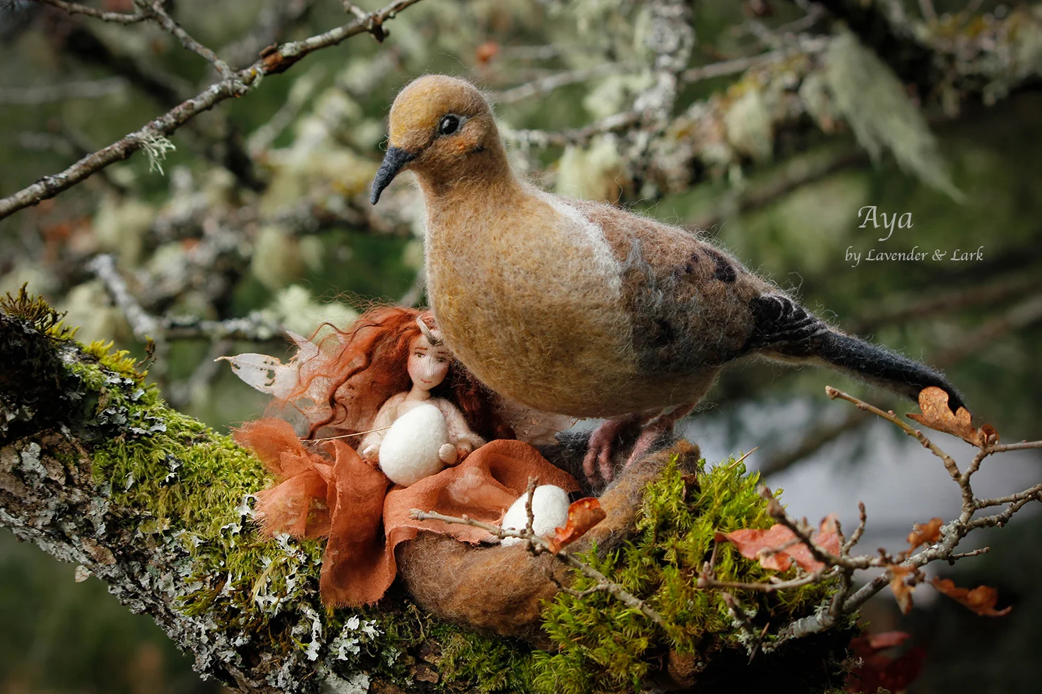 Aya of the Birds — Lavender & Lark