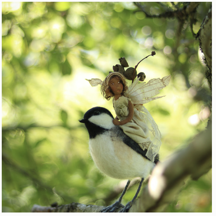 Robin Rider — Lavender & Lark