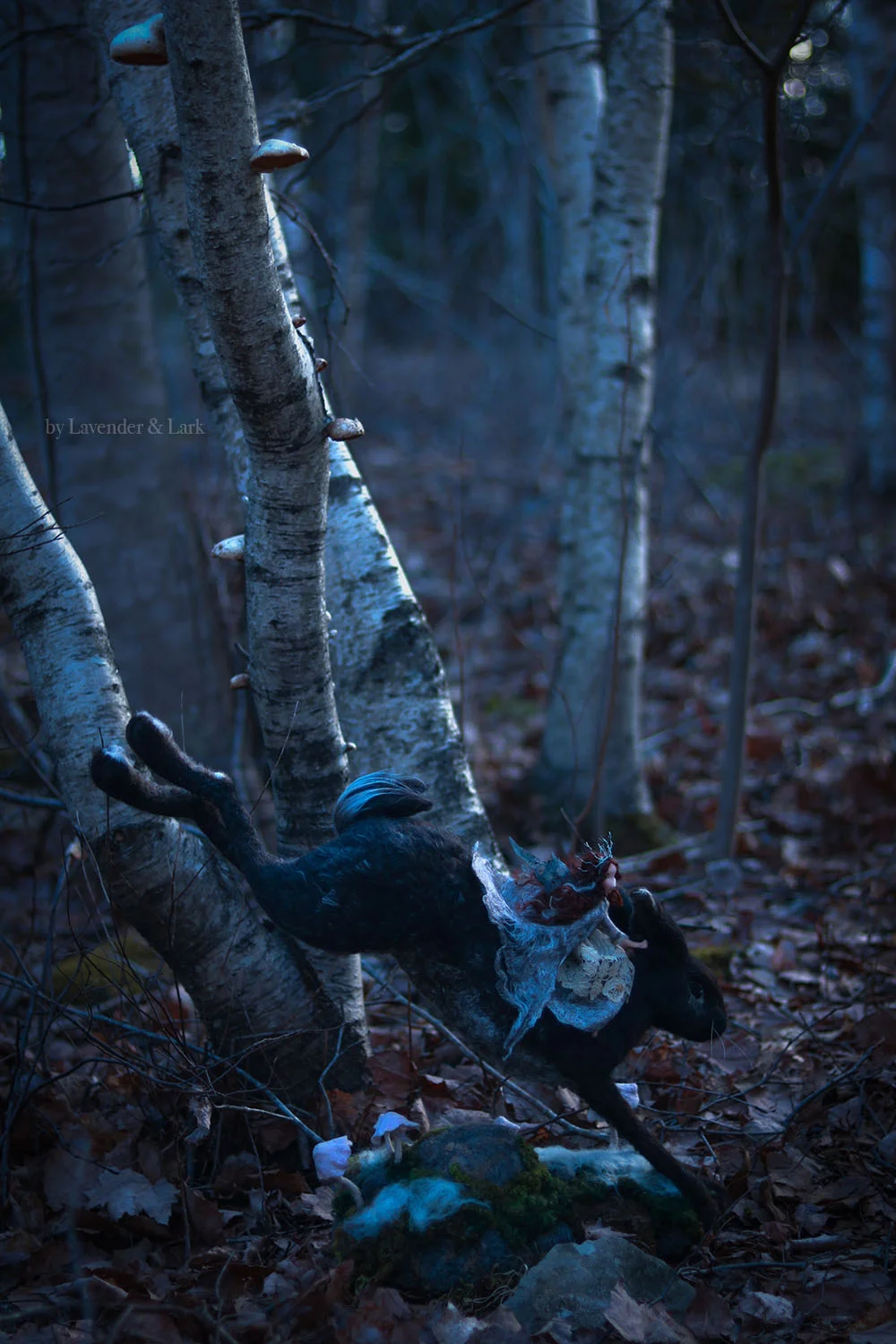 Máire & Astrid — Lavender & Lark