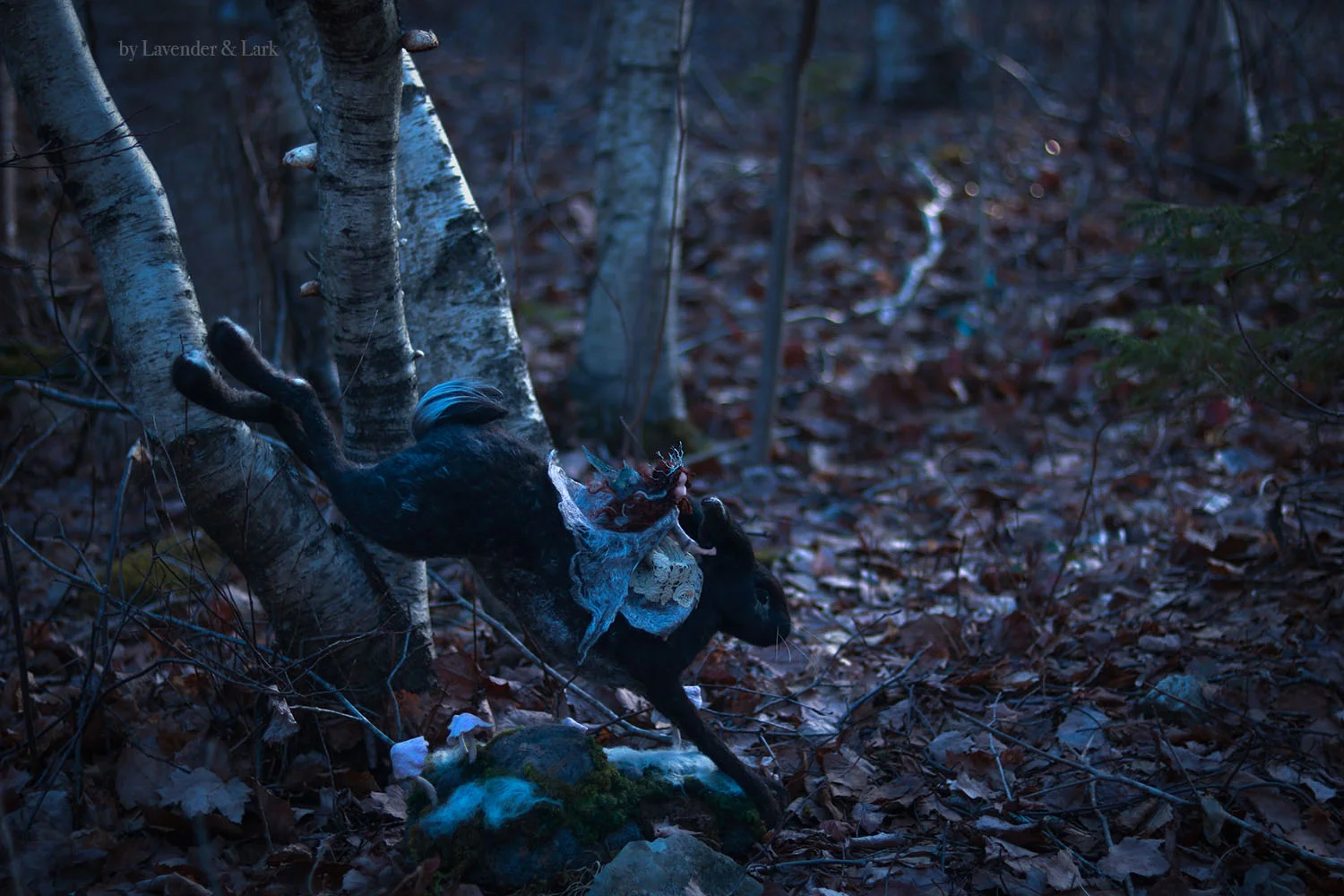Máire & Astrid — Lavender & Lark