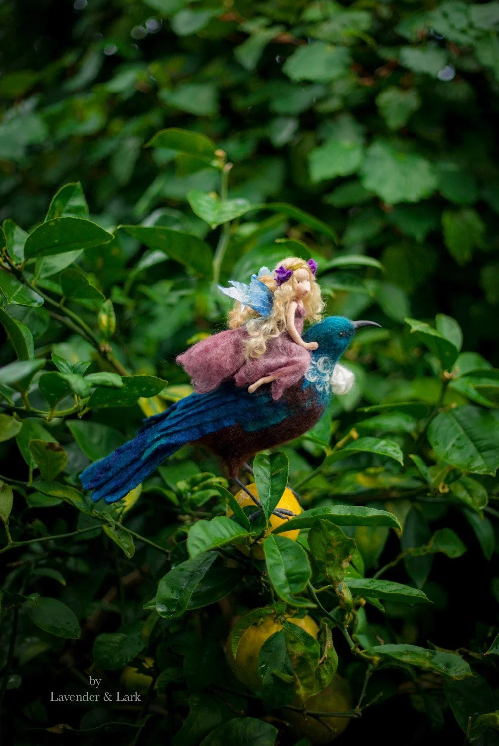 Felt Gallery — Lavender & Lark