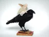 The Ravens — Lavender & Lark