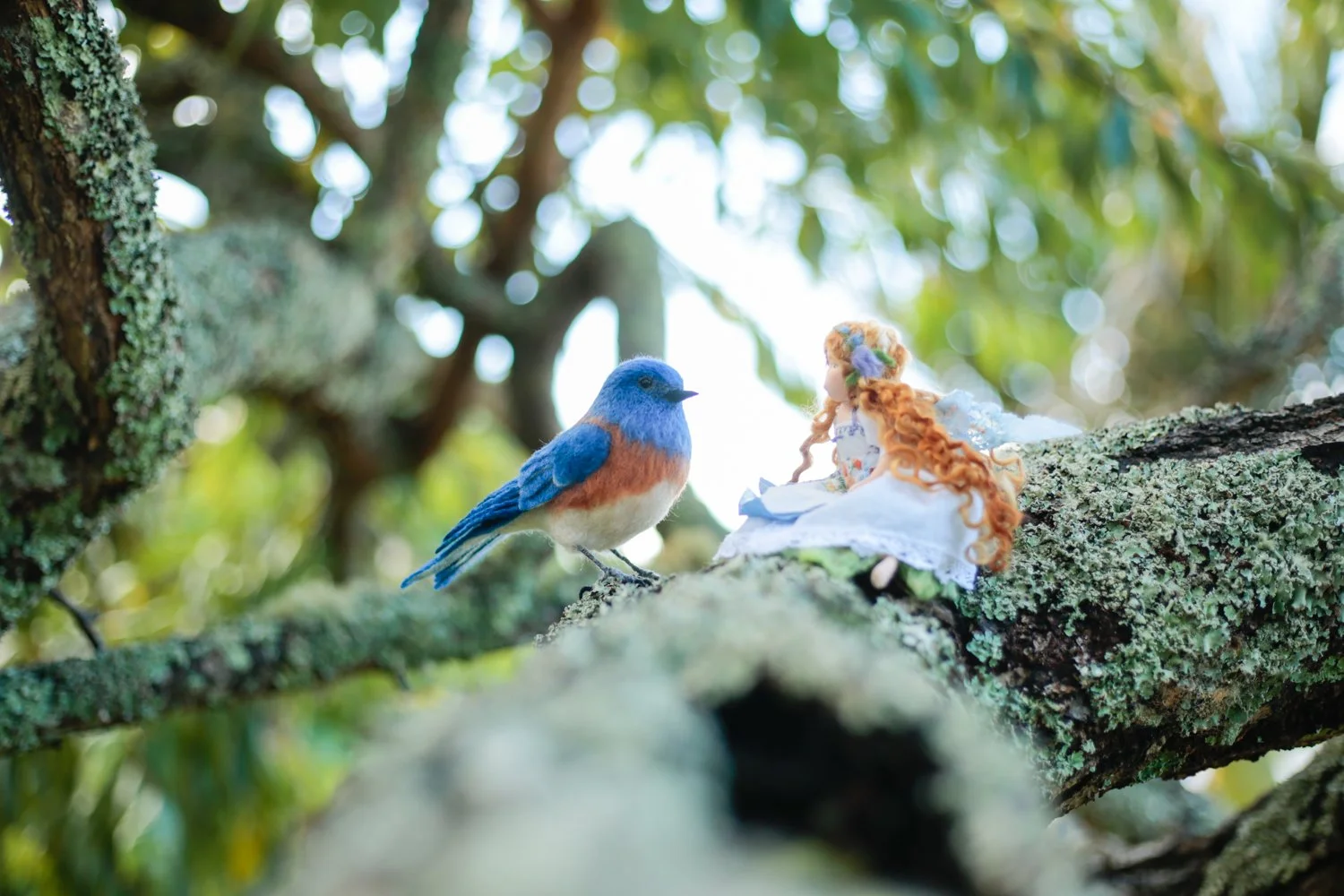 BLOG — Lavender & Lark