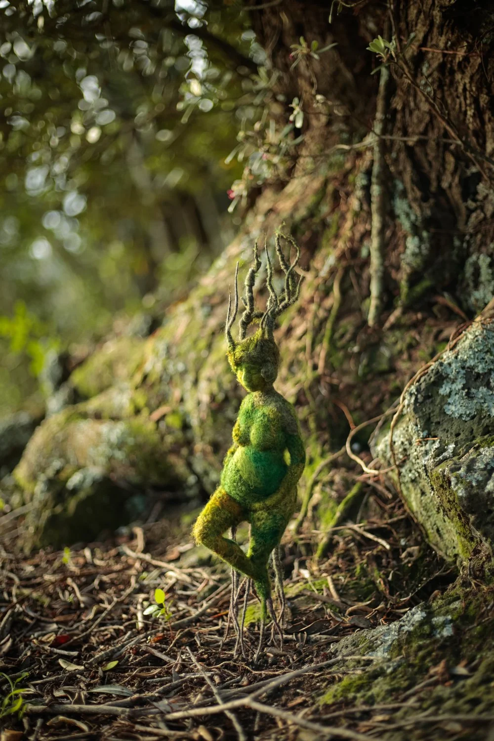 BLOG — Lavender & Lark